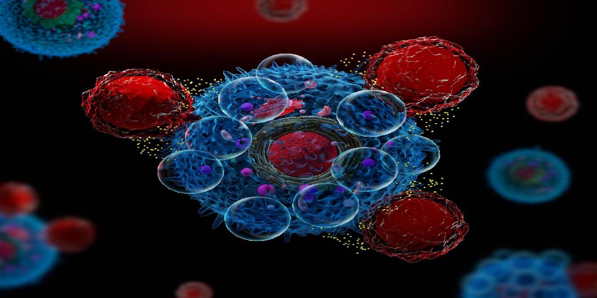 FDA grants Orphan Drug Designation for Mustang Bio's IL13Ra2-targeted ...