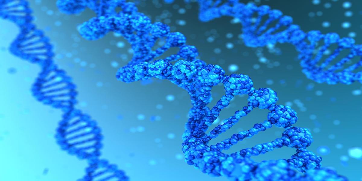 YolTech Therapeutics' in vivo gene-editing therapy for AATD receives ...