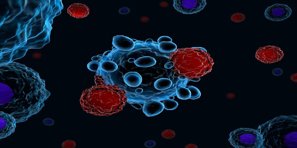 Captain T Cell secures EUR 20 million to advance autologous TCR-T cell ...