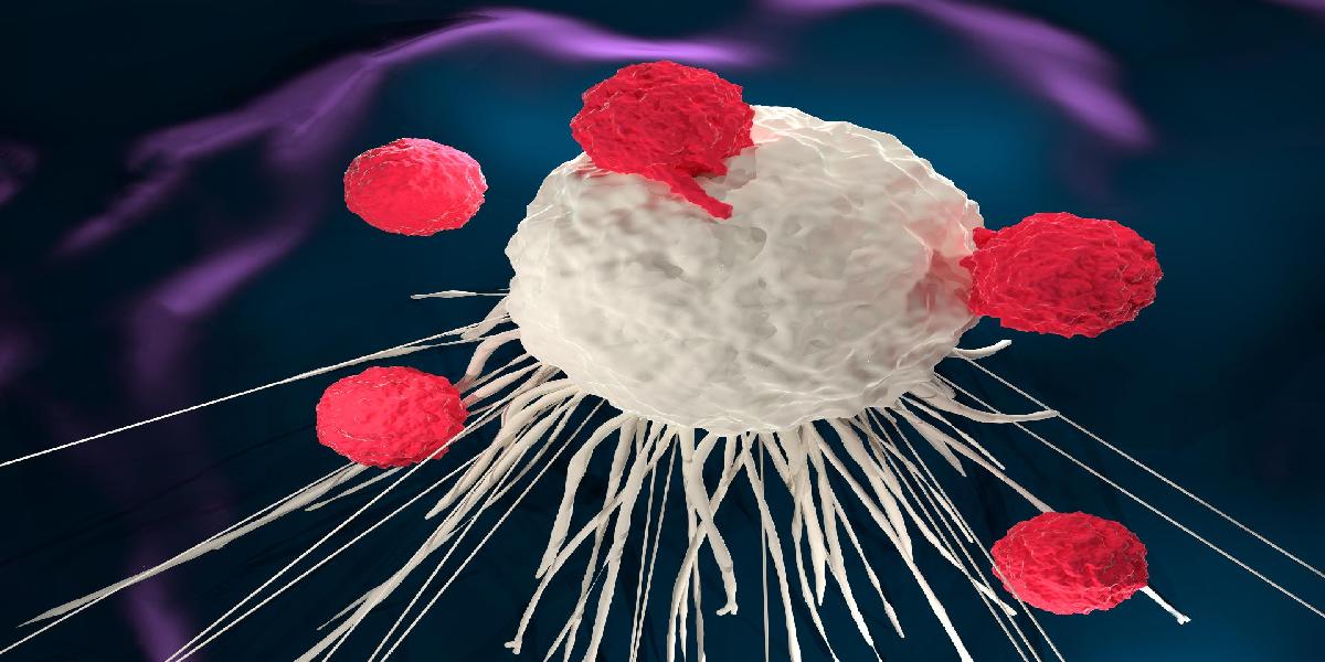 MaxCyte partners with Anocca granting access to Flow Electroporation ...
