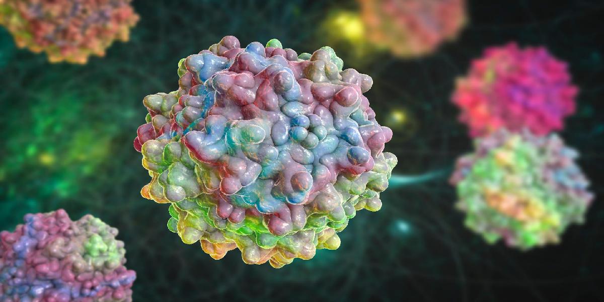 Precision BioSciences receives FDA Orphan Drug Designation for DMD ...