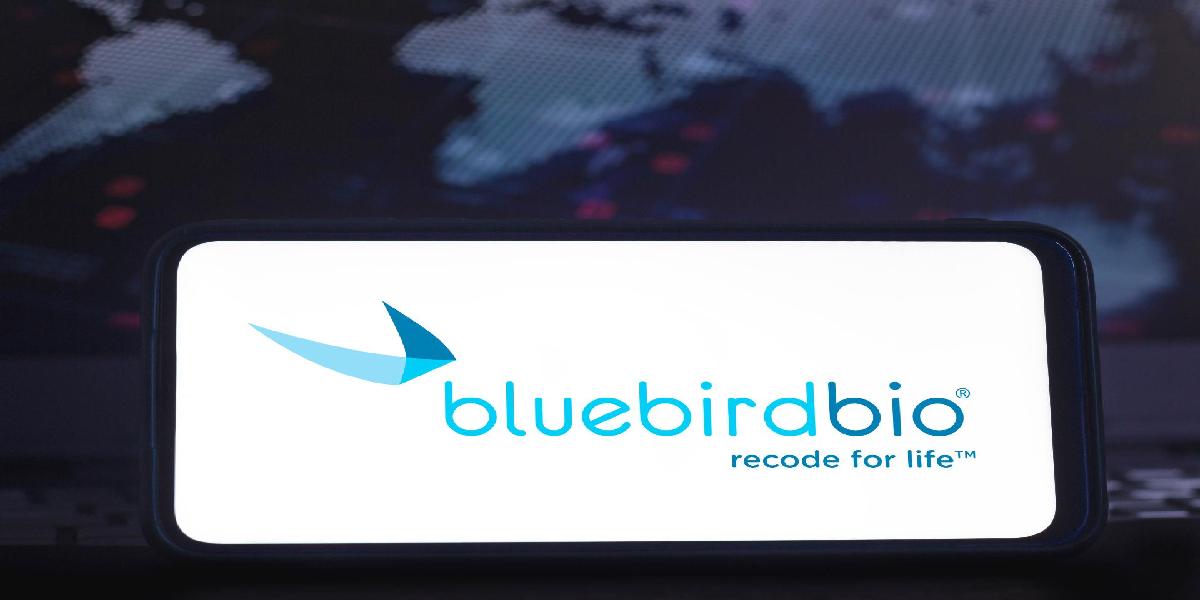 Carlyle and SK Capital Partners to acquire Bluebird Bio, offering $3.00 ...