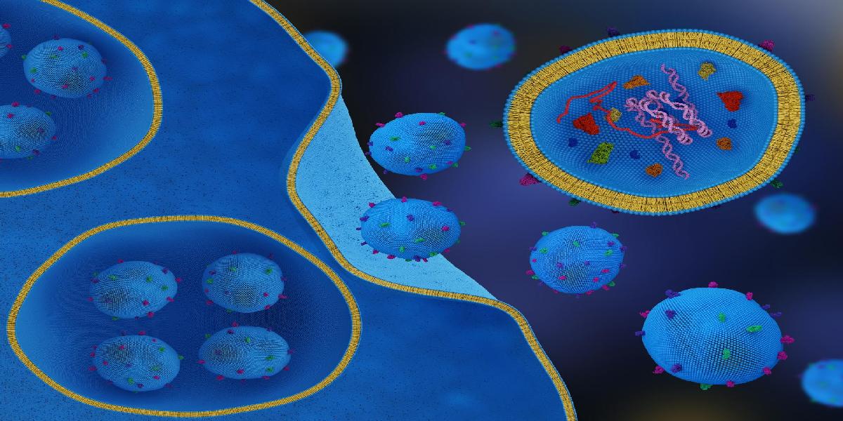 EVerZom Raises €10 Million for Exosome Biotherapies and EVerGel ...
