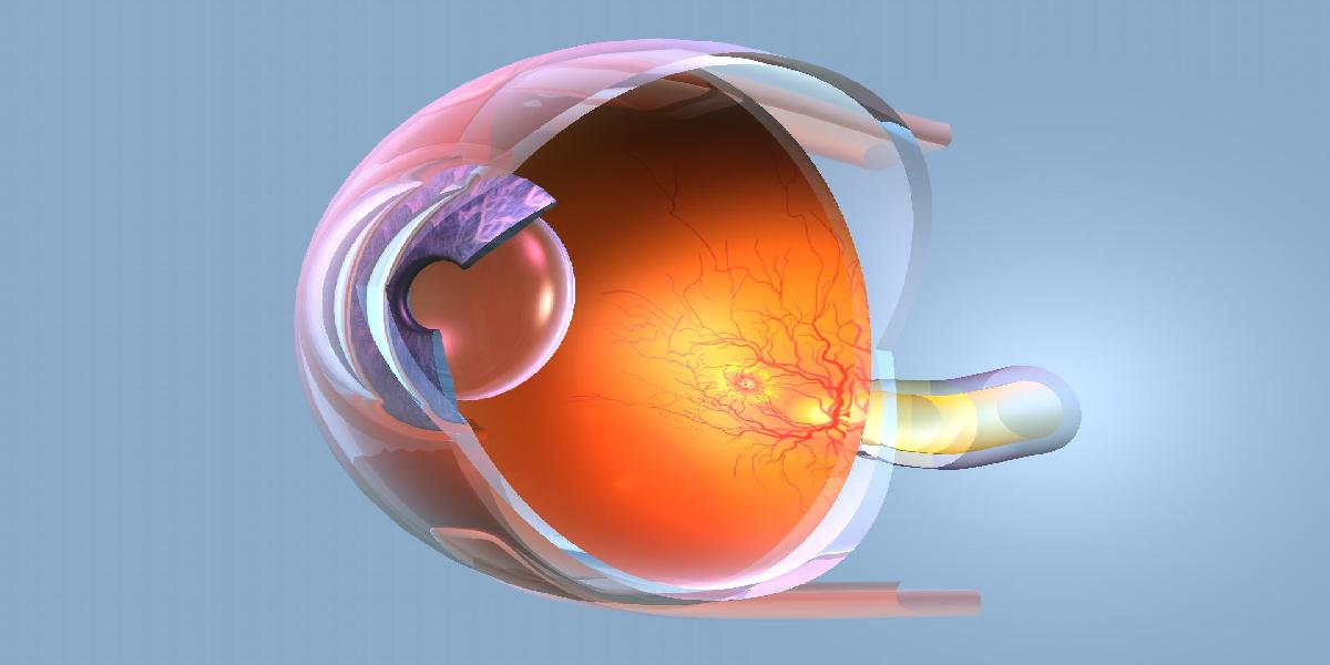 Alvotech's phase 3 trial of AVT06 shows therapeutic equivalence to ...