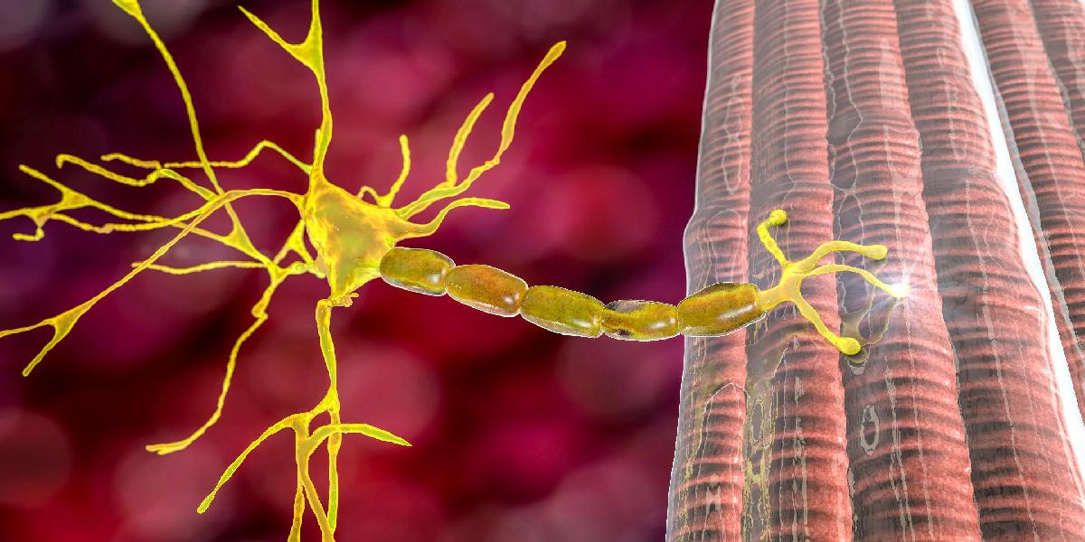 Neurizon Therapeutics and Elanco Animal Health sign global license ...