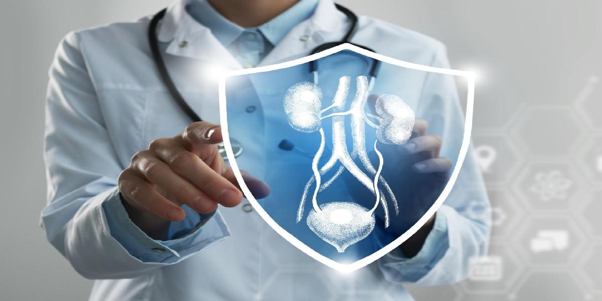 Renasant Bio launches to develop treatments for ADPKD with oral small ...